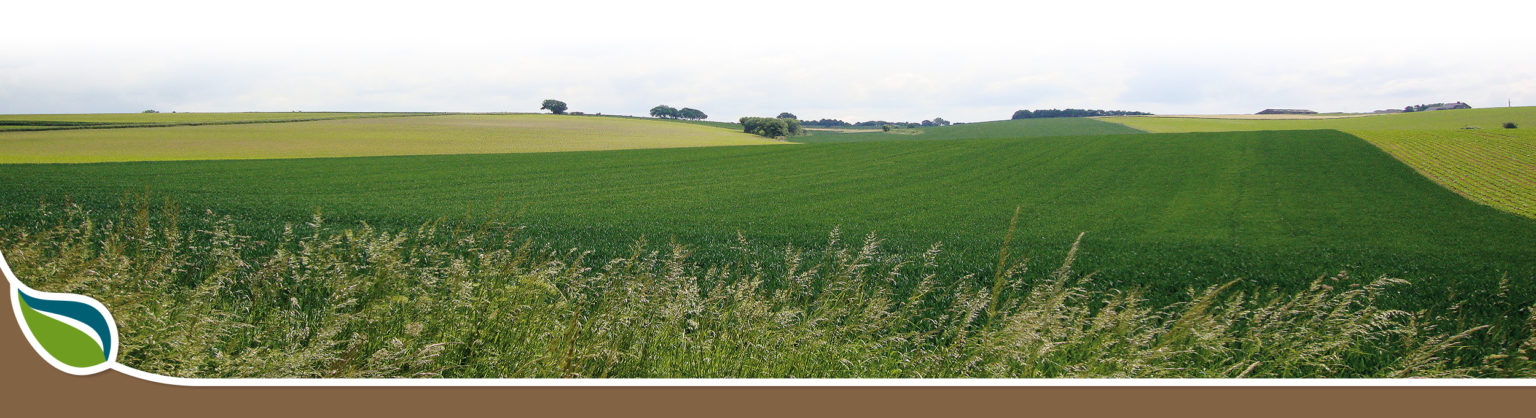 Agrea - Allround Partner