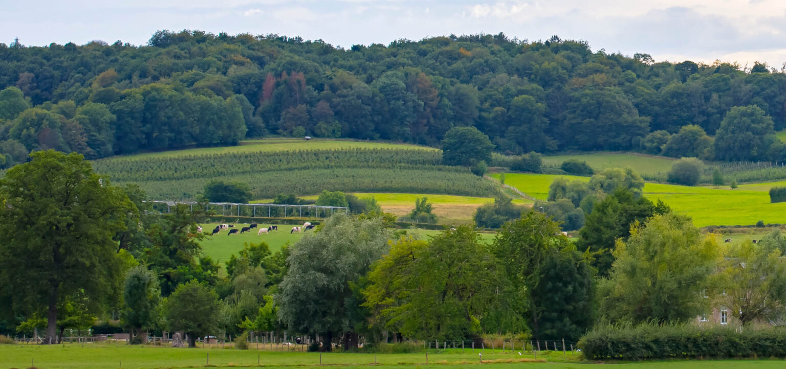 Bemestingsplan - Agrea