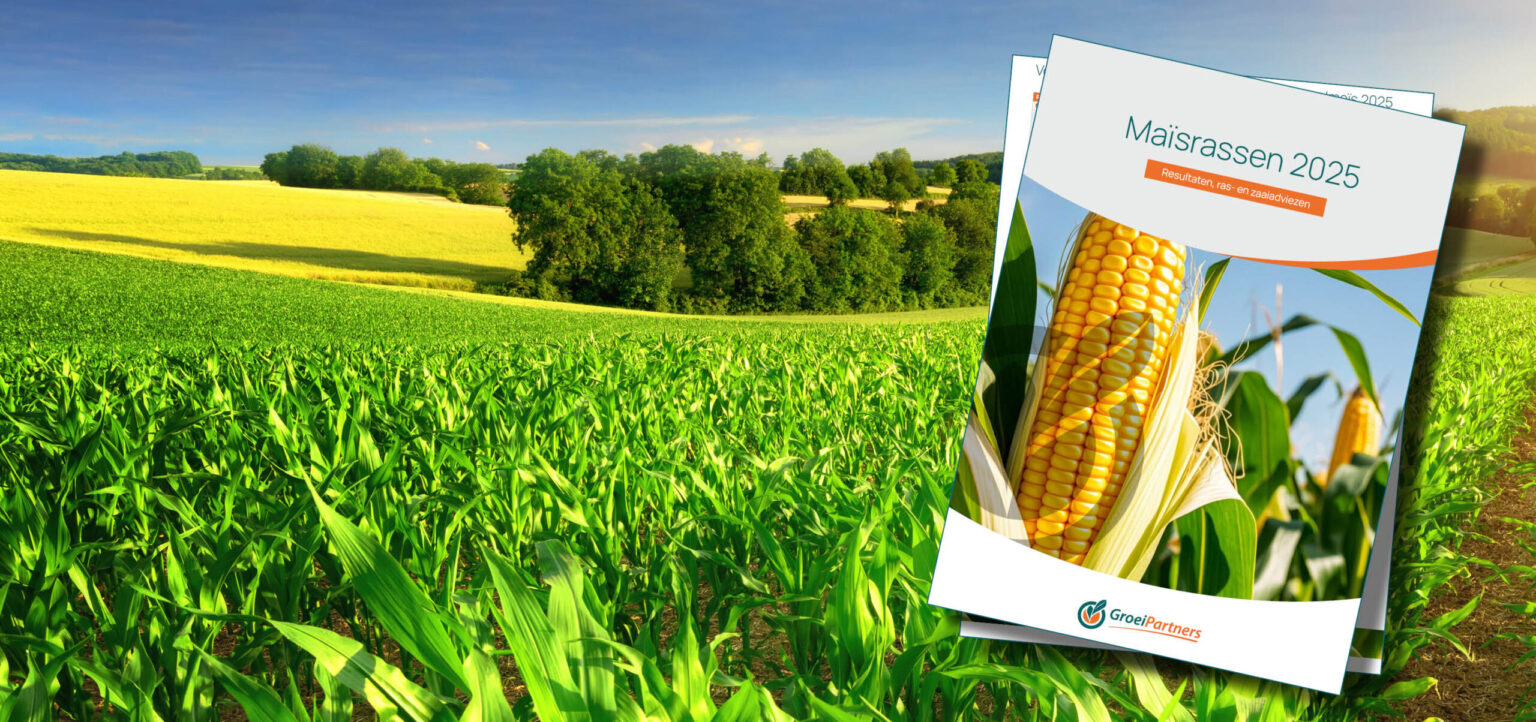 Mais rassenlijst 2025 - Agrea